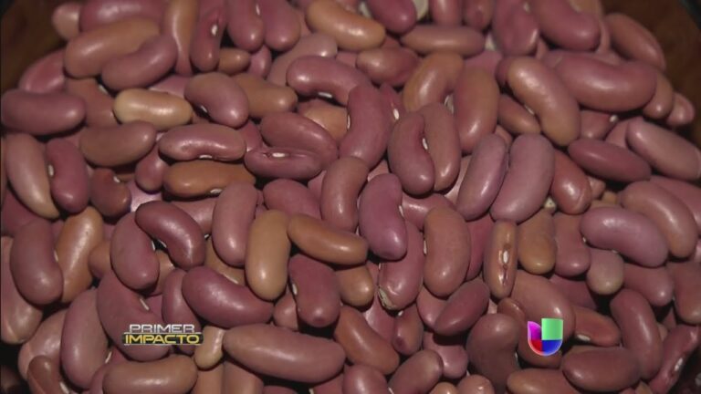 Descubre por qué la pera produce gases y cómo evitarlos | Actualizado ...